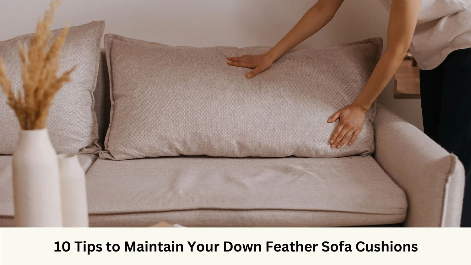 10 Tips to Maintain Your Down Feather Sofa Cushions – Cozylant