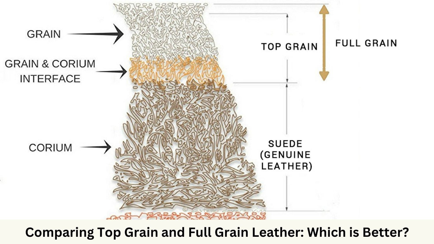 Comparing Top Grain and Full Grain Leather: Which is Better? – Cozylant